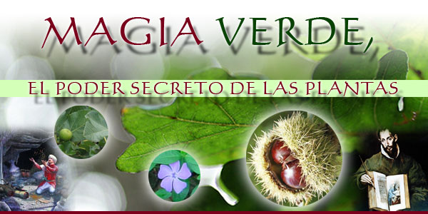 COMETA AZUL: Magia Verde, el Poder Secreto de las Plantas