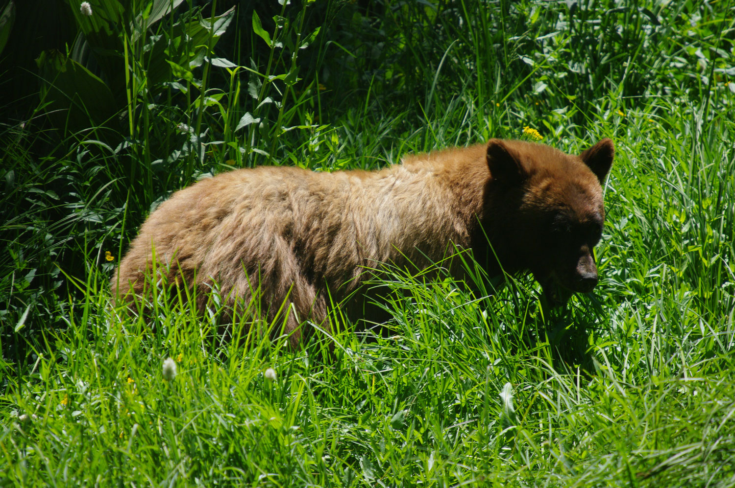 Yosemite National Park