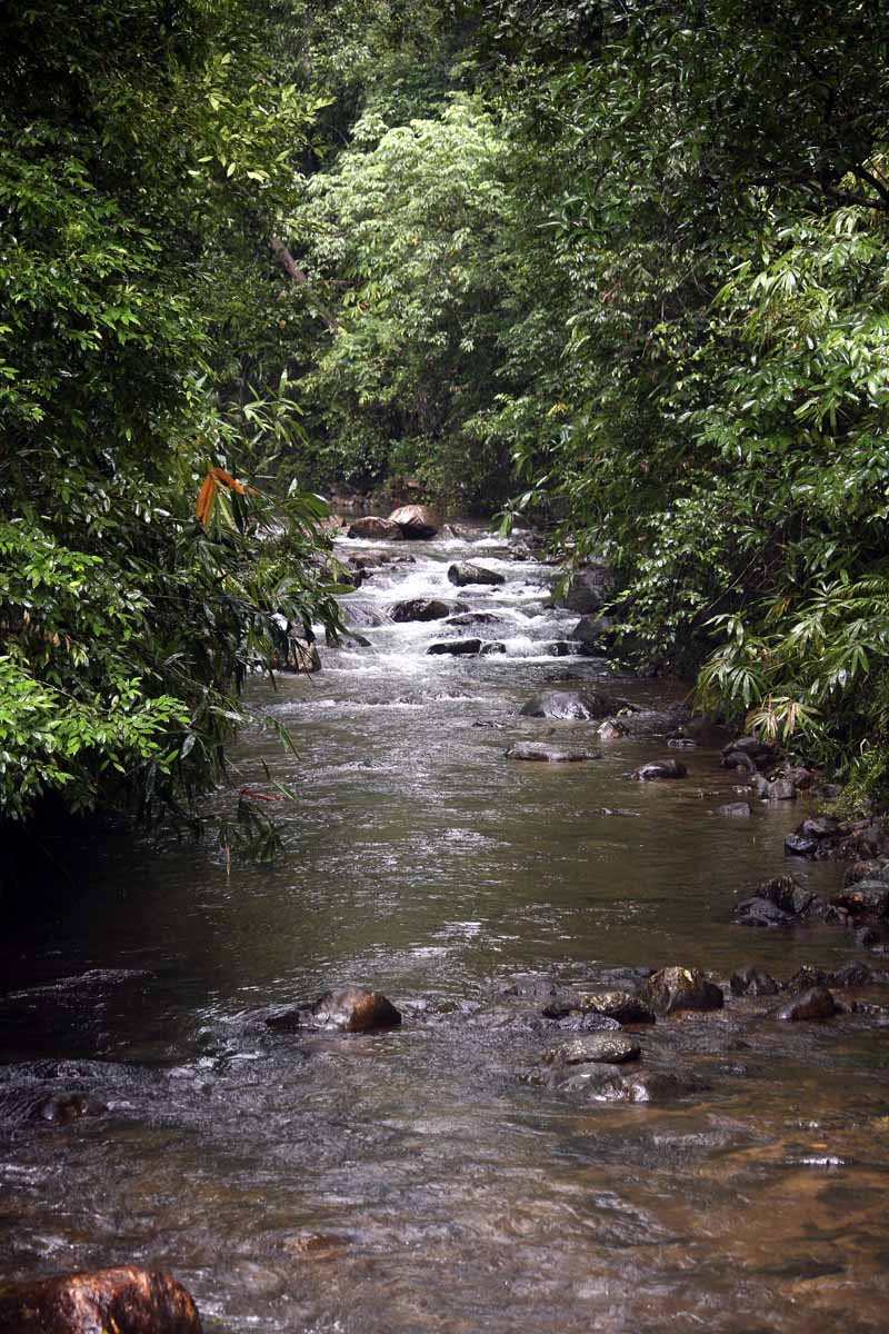 Welcome to Trivandrum District: Kallar