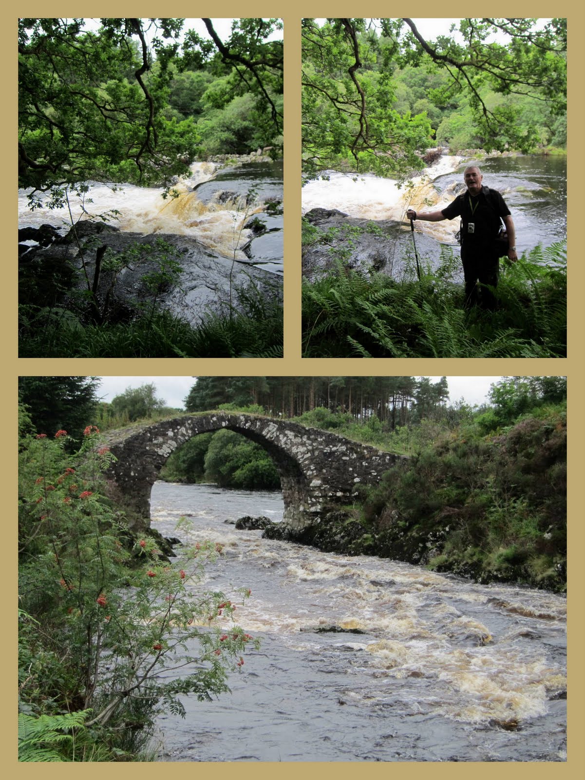 The Glebe Blog: Wigtownshire Ramblers Stroan Bridge Circular August 2010