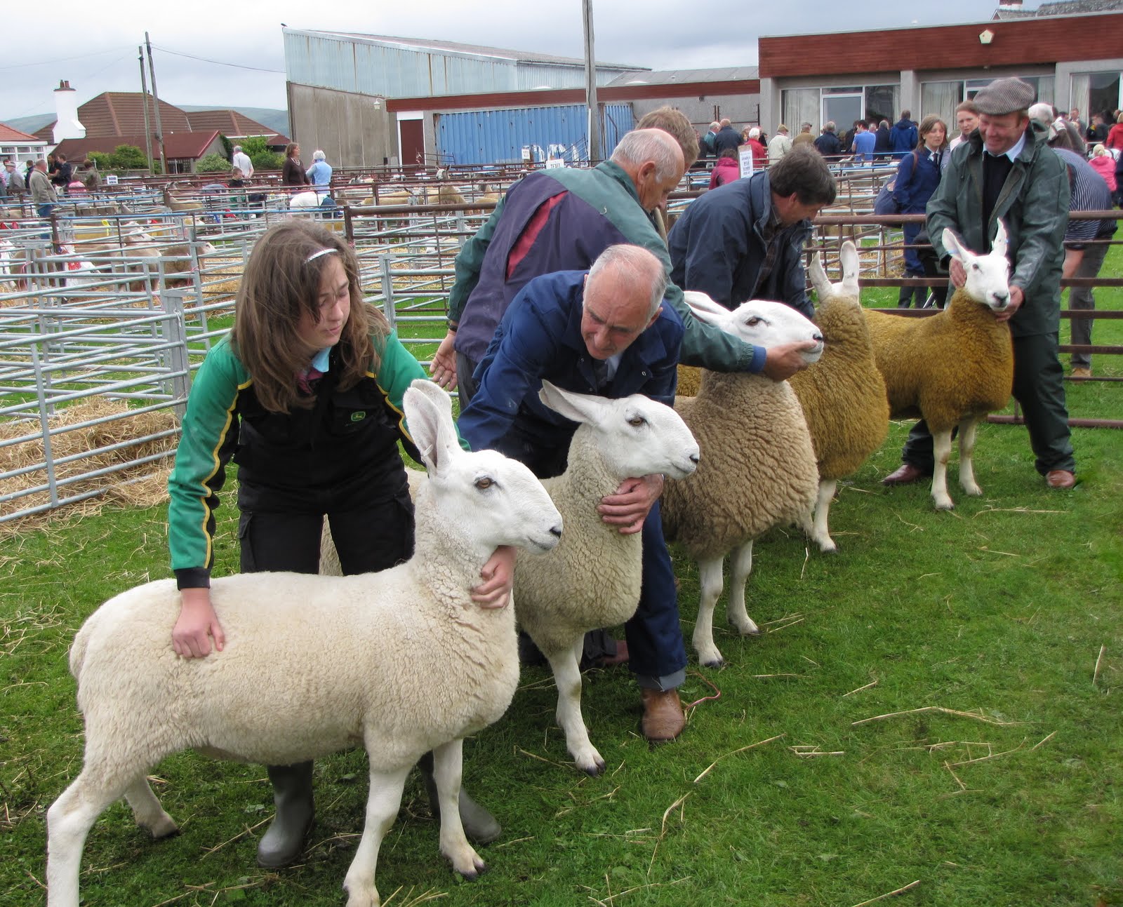 The Glebe Blog: Stranraer Show Pictures 2010