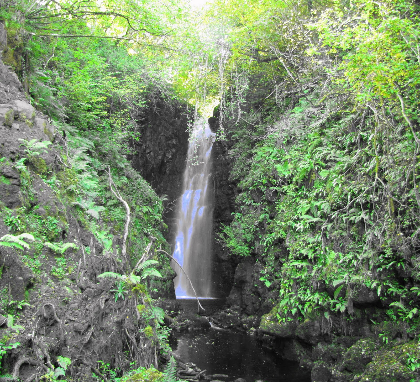 The Glebe Blog: Ramblers Trip to the Antrim Coast and Glens~~~Day One ...