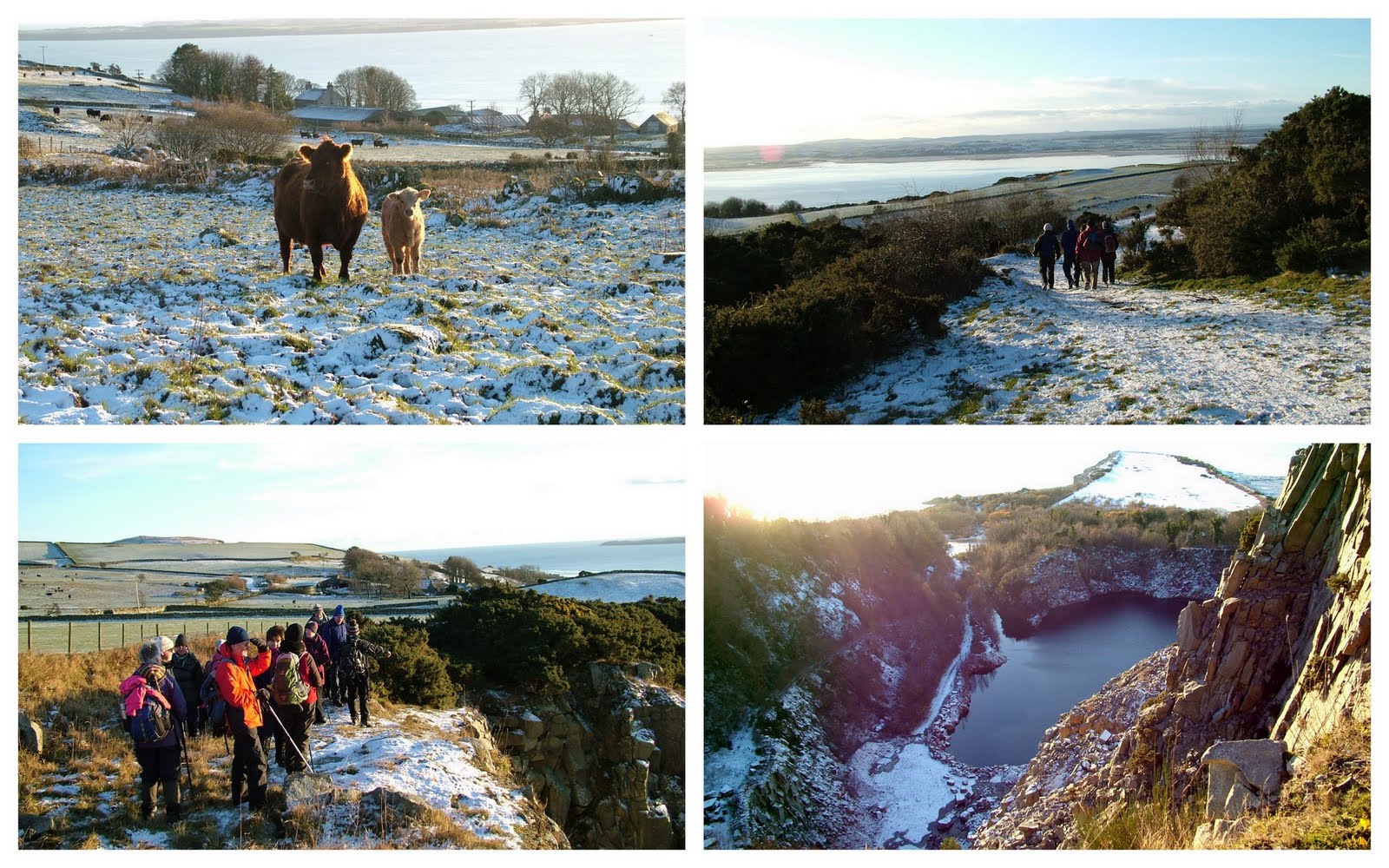 The Glebe Blog: Wigtownshire Ramblers-Creetown Circular November 2010