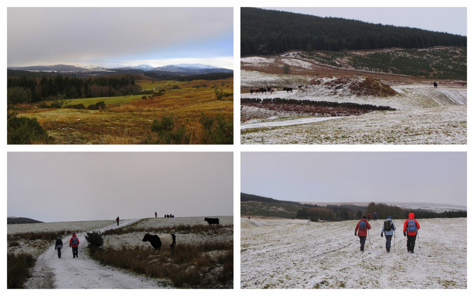 The Glebe Blog: Wigtownshire Ramblers-Cairnsmore of Fleet (reroute ...