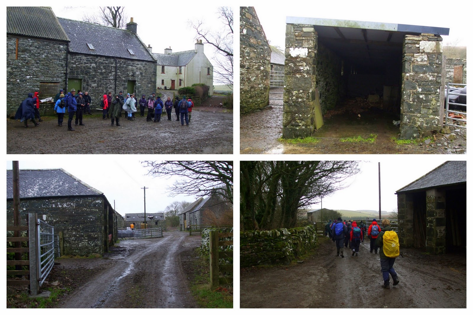 The Glebe Blog: Wigtownshire Ramblers-Chapel Finian Circular January 2011