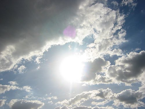 Anteckningar från studier och undervisning i biologi, kemi ...