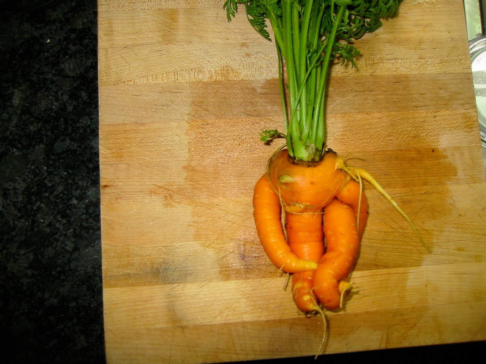 A goat walks into a bar...: mutant carrot #3