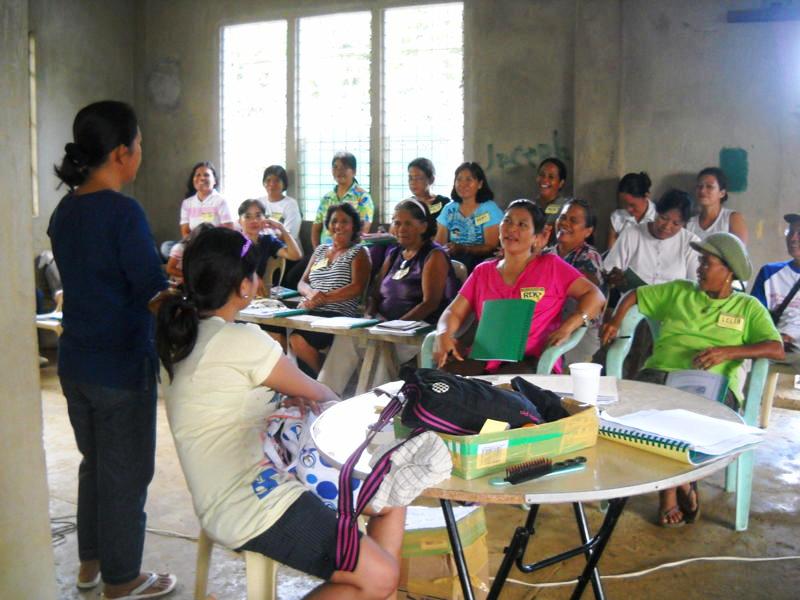 VPHCS, Inc.: Building Community-based Health Programs to Promote Health ...