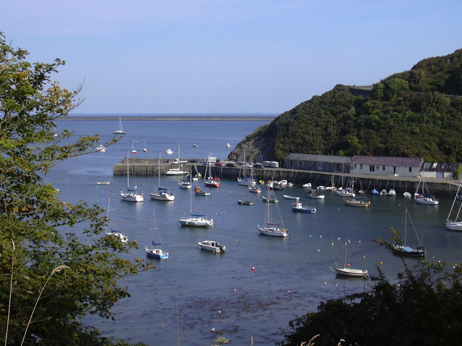 Pembrokeshire Coast Path: Strumble Head to Fishguard Fort