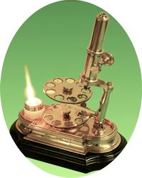 Paseando por la Historia: enero 2011