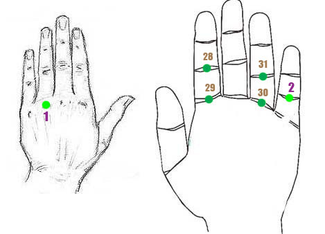 Su-jok acupuncture methods and treatment (Su-jok medicine blog ...