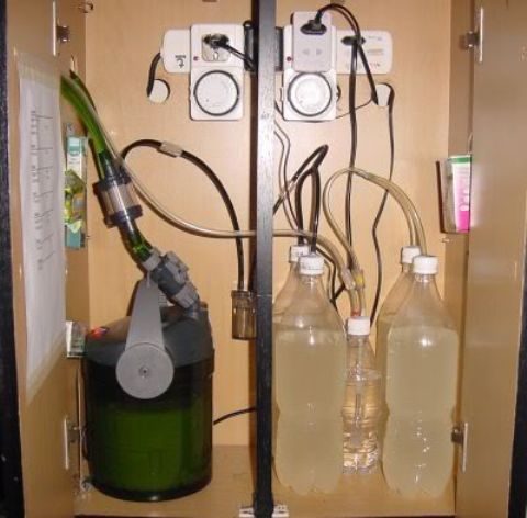 ACQUATICOS: CO2 CASEIRO