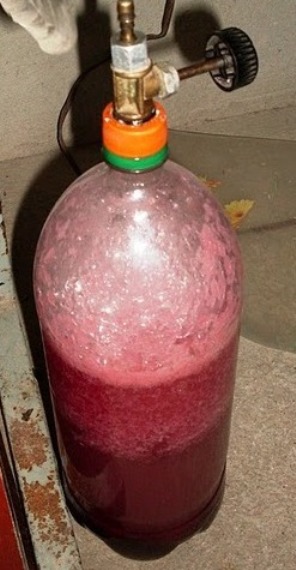 ACQUATICOS: CO2 CASEIRO