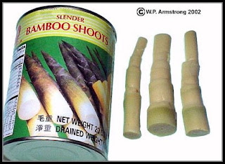 ethnoaida: BULUH / AUR (BAMBOO)