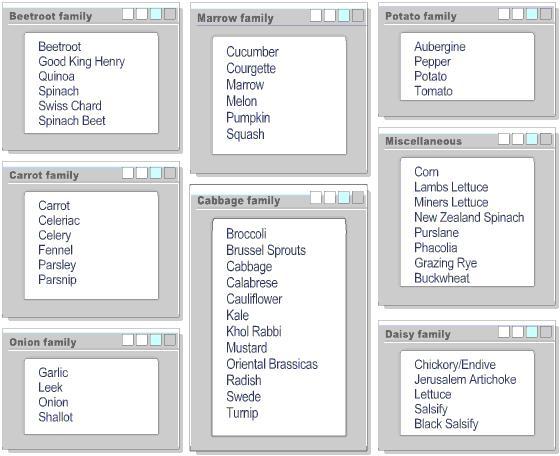 From a Worcester Allotment: How to recognise Plant Families