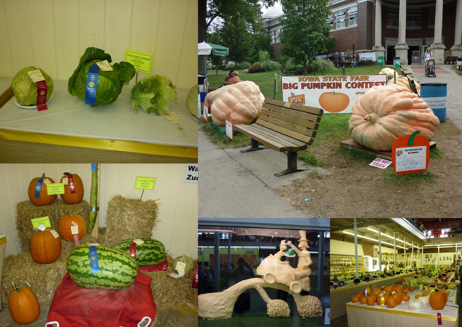 Everlasting Farm: Iowa State Fair