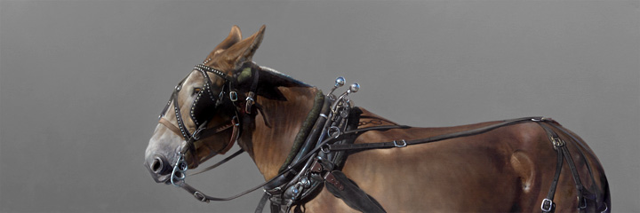 Paintings in Oil: Mule: Complete