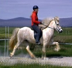 Fsu - Selfoss, Iceland - Daxing middle school nr. 1- Beijing, China ...