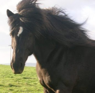 Fsu - Selfoss, Iceland - Daxing middle school nr. 1- Beijing, China ...