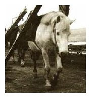 Fsu - Selfoss, Iceland - Daxing middle school nr. 1- Beijing, China ...