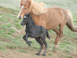 Fsu - Selfoss, Iceland - Daxing middle school nr. 1- Beijing, China ...