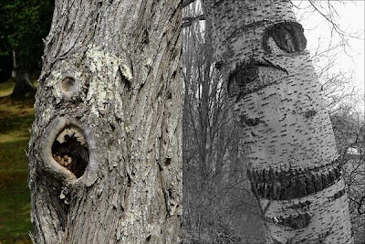 Pulsatta: Screaming Trees