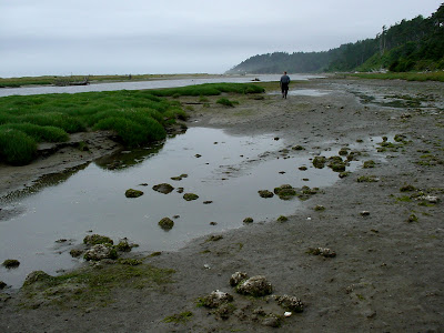 Flitzy Phoebie: Camping On The Copalis River