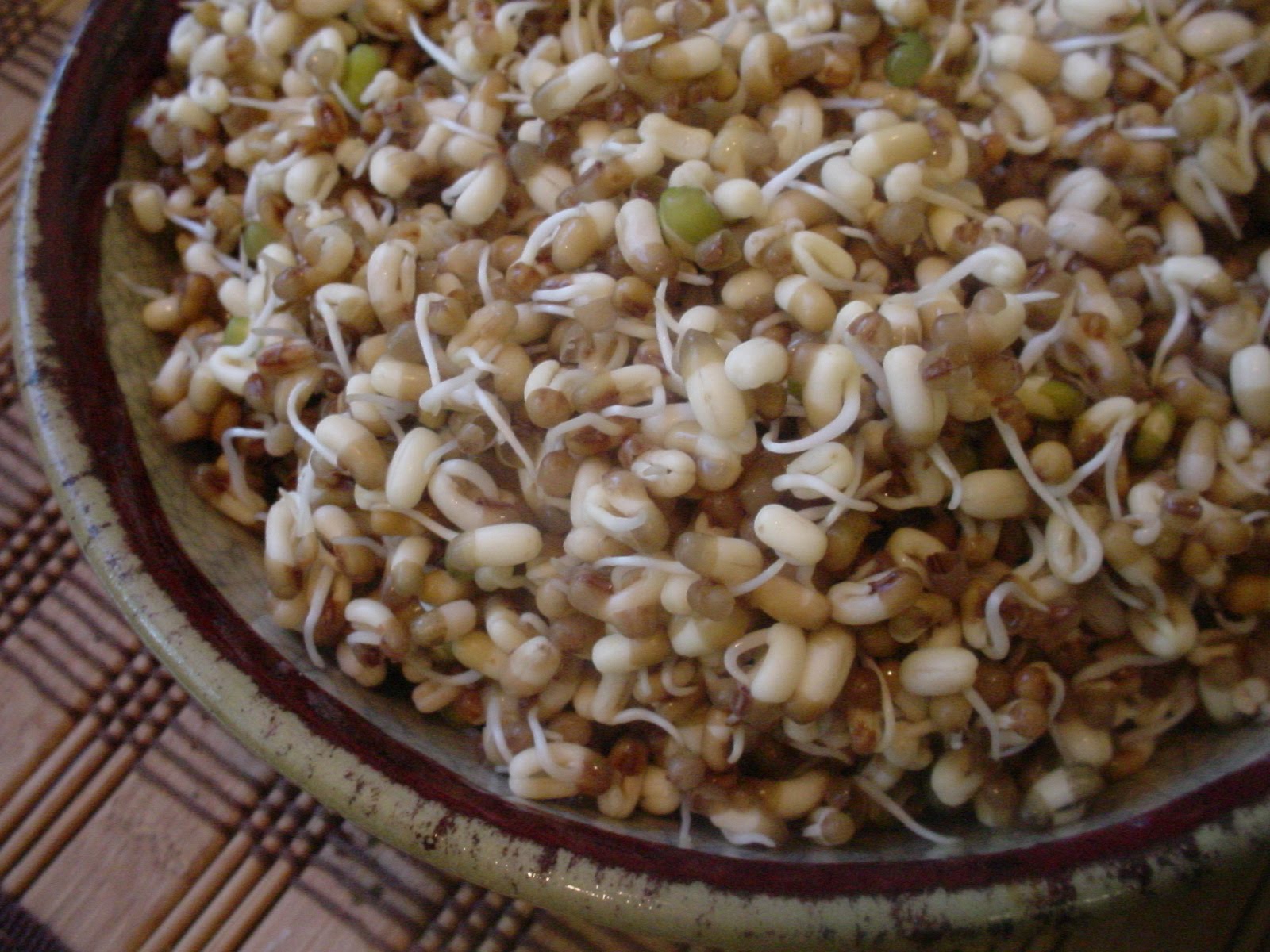 Flitzy Phoebie: Matpe Beans for Lemon Rice - Camp Cooking