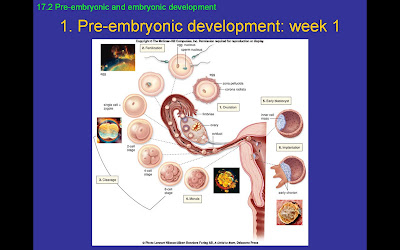 joyous: COMPENDIUM REVIEW # 1 FOR UNIT # 4