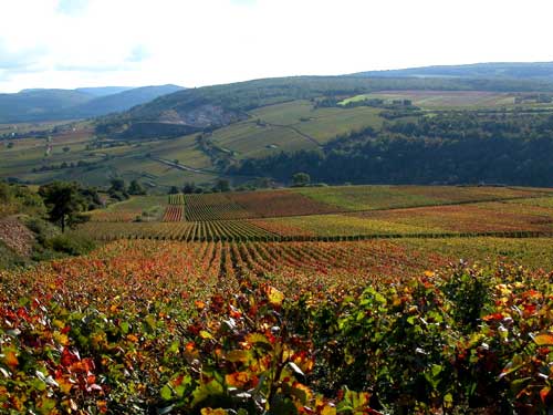 Pour les 3e C et 3e D: Paysages ruraux.