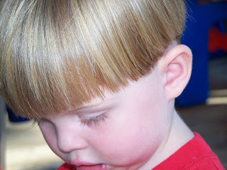 Two Little Lambs: Bowl Haircut....