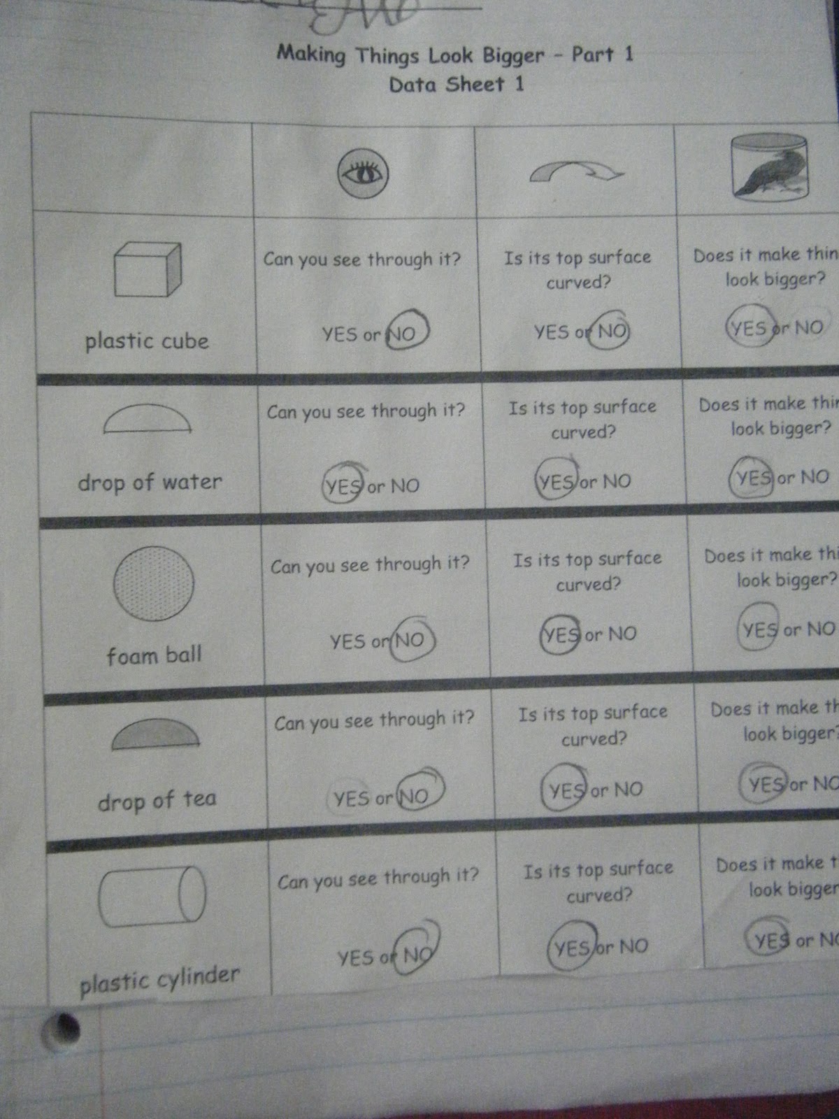 C I Science Blog Science In The Classroom Magnificent Magnifiers c-i-science-blog-science-in-the-classroom-magnificent-magnifiers