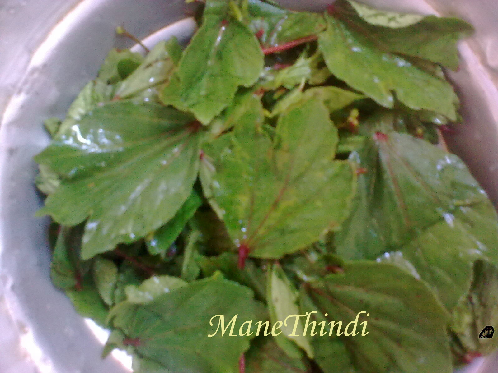 GONGURA CHUTNEY SORREL LEAVES CHUTNEY GONGURA CHUTNEY SORREL LEAVES CHUTNEY