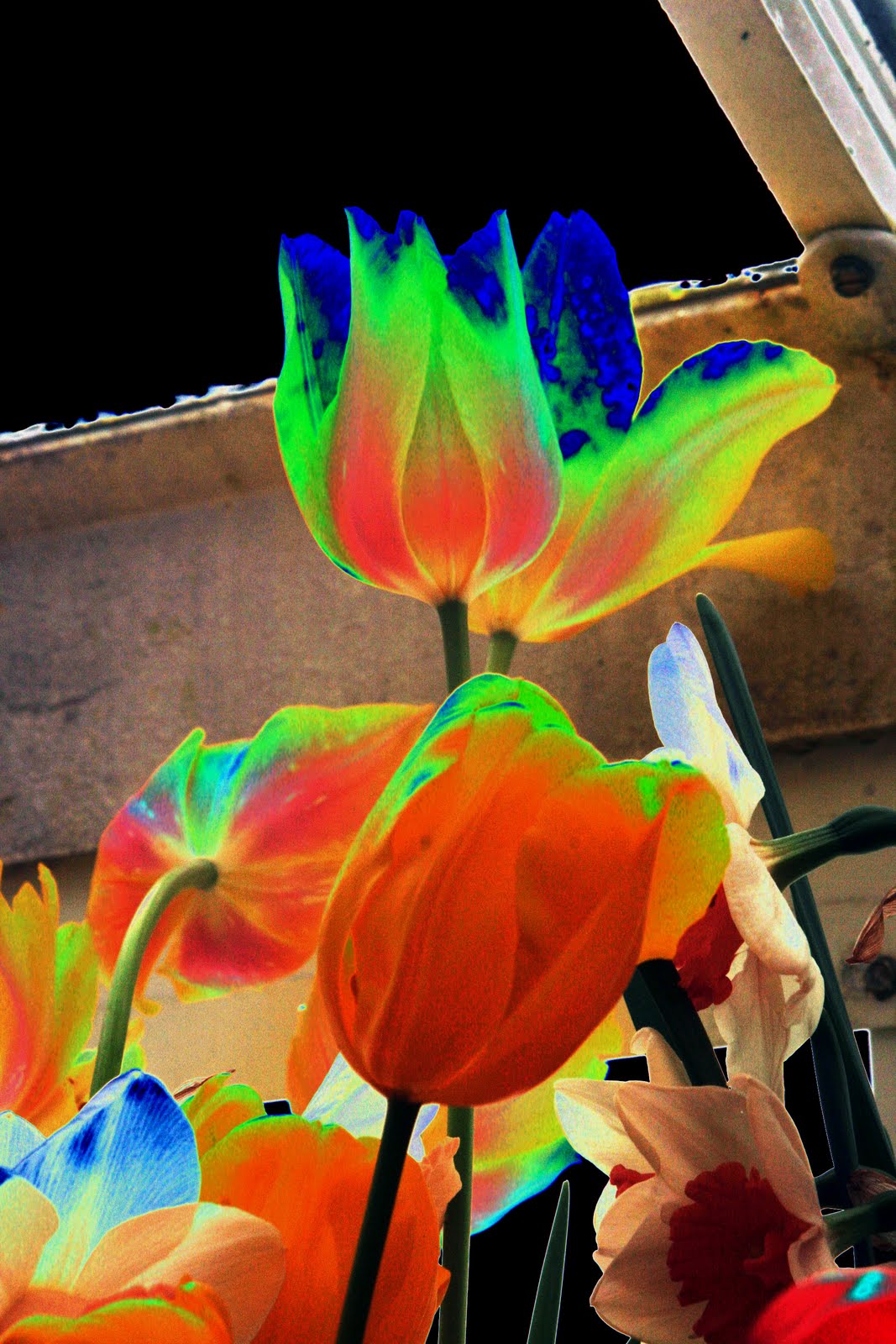 The Pen of the Wayfarer: Kind Words, Kind Looks, Kind Acts