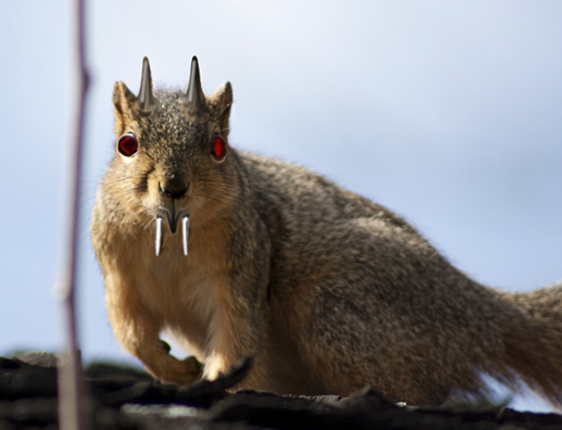 Western Ways: November 2009