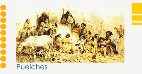 Indigenas en chile: Puelches
