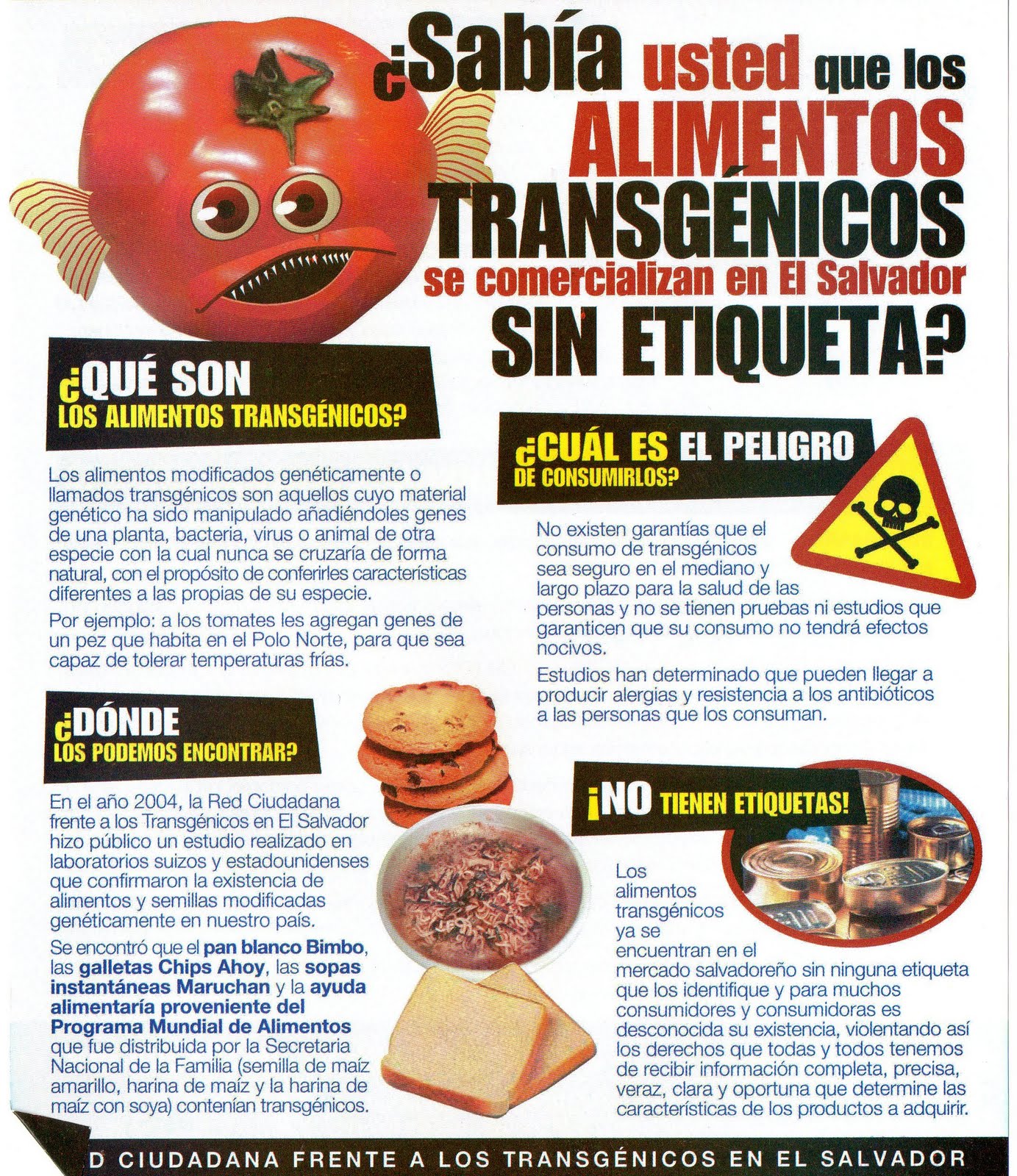Lista 97+ Foto Imagenes De Alimentos Transgenicos En Mexico Actualizar