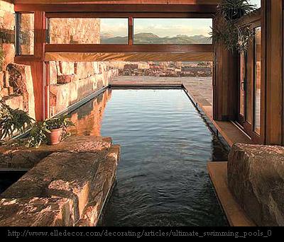 Renée Finberg ' TELLS ALL ' in her blog of her Adventures in Design ...