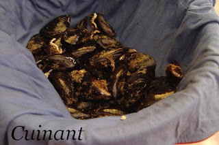 Cuinant: -CLÒTXINES SACSADES