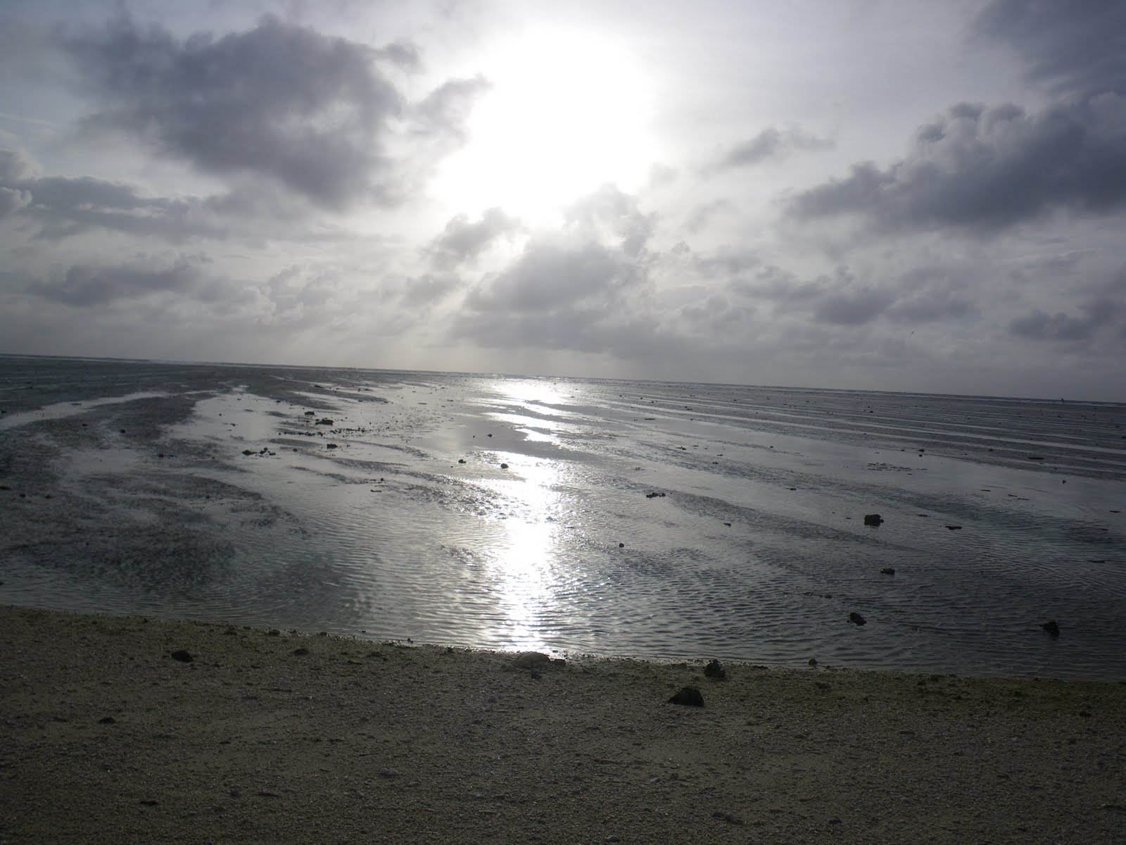 Australia: Wintermester '10-'11: Lady Elliot Island: Part II