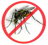 Dengue en Buenos Aires: Prevención del dengue