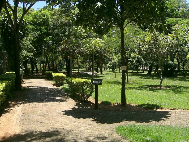 The Only Exception: Parque Municipal de Três Rios - Horto