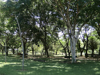 The Only Exception: Parque Municipal de Três Rios - Horto
