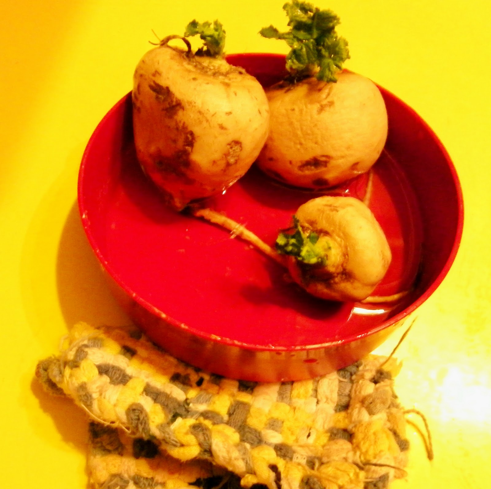 PRACTICAL PARSIMONY Turnip Experiment practical-parsimony-turnip-experiment