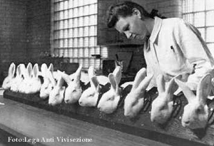 El "Humano" destruye todo a su paso: Testeo en Animales