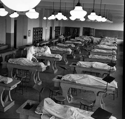 TYWKIWDBI ("Tai-Wiki-Widbee"): Anatomy lab, 1950