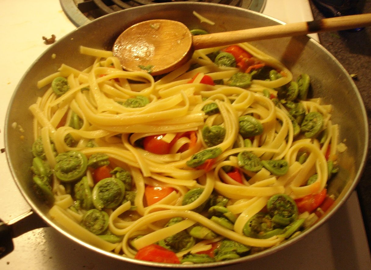 tasty chemistry: fiddle-le-dee fiddle-le-doo fiddleheads!