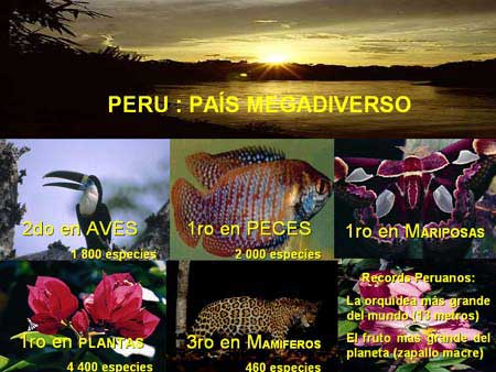 Club de Turismo- UNFV: Perú país Megadiverso: más que un privilegio es ...