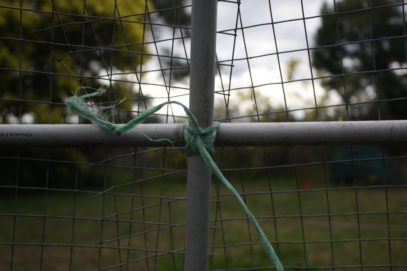Chookie's Back Yard: Chook Dome Maintenance