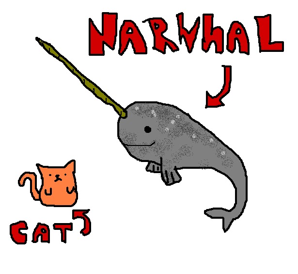 Project Slug: Narwhal: Greatest living animal